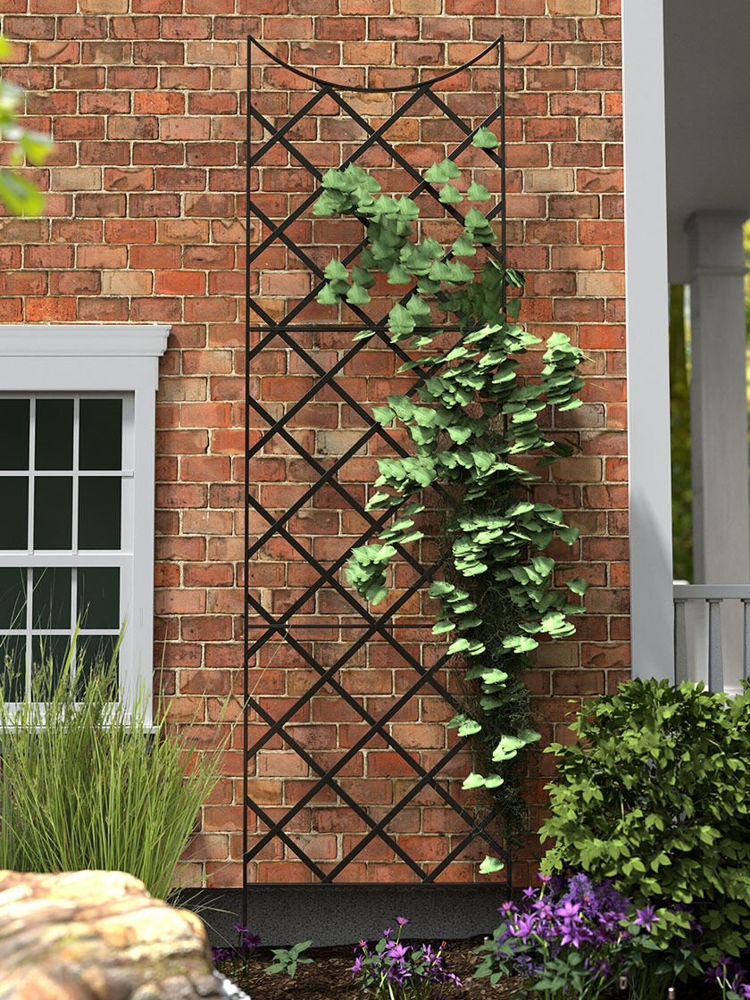 trellis – Midwest Career Development